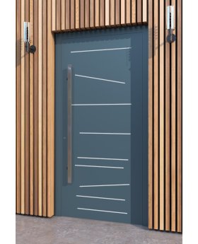 PIVOT Line-inox - security front pivot door Domadeco