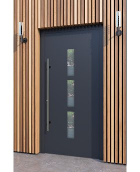 PIVOT Modus - modern entry aluminum pivot door Domadeco